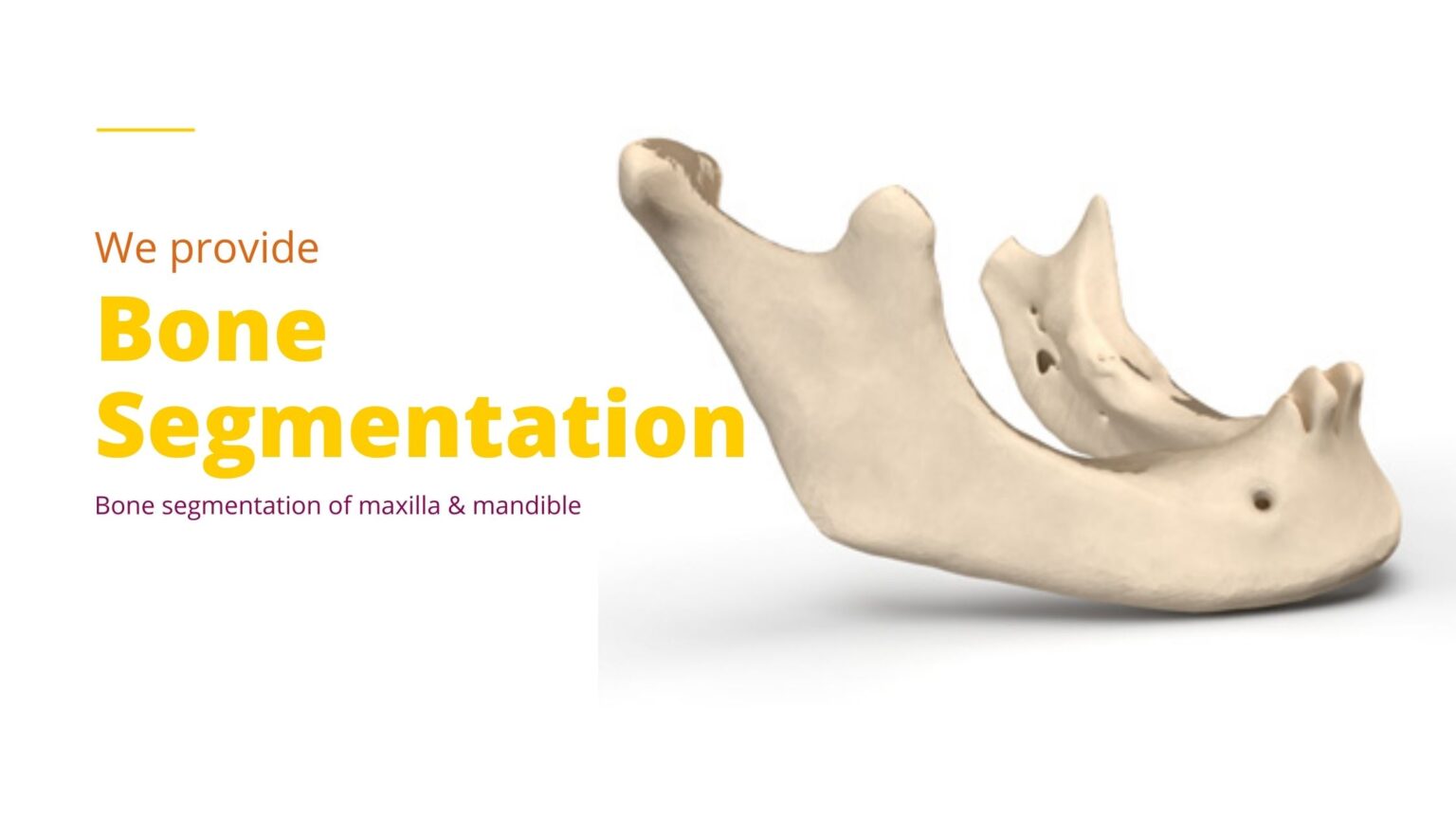 Transforming Dental Care with 3D Segmentation of Dental Anatomy - RADIX ...